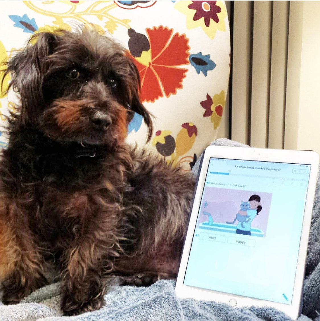 Announcing the #IXLEverywhere raffle! - IXL Official Blog